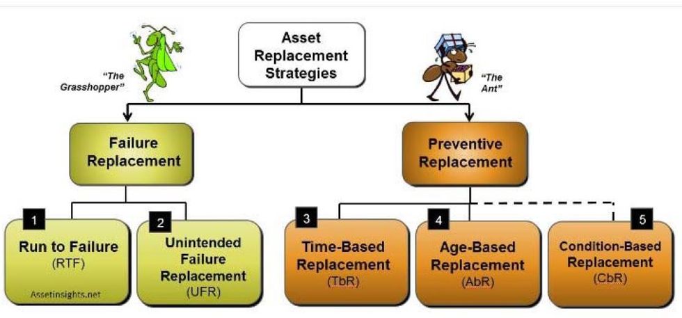 Reliabilityweb The Grasshopper’s Lesson on Asset Management