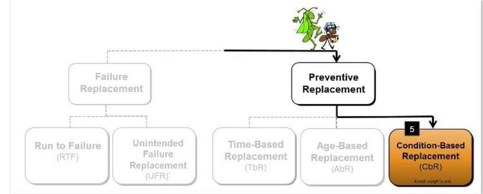 Reliabilityweb The Grasshopper’s Lesson on Asset Management