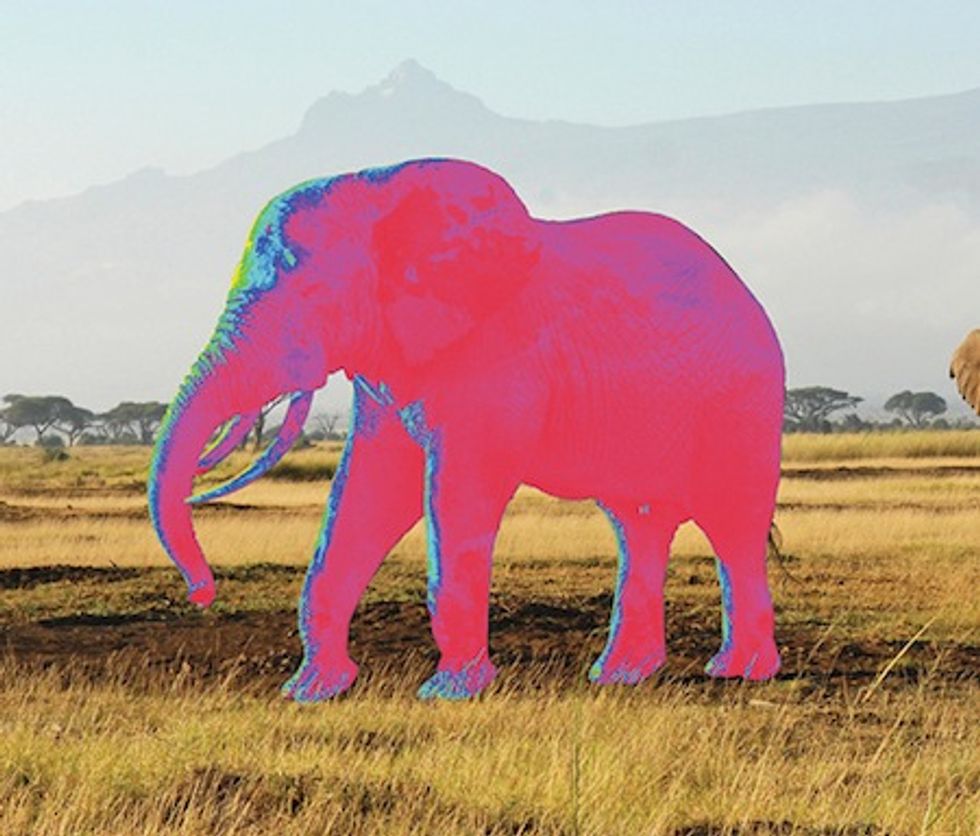 Reliabilityweb Infrared Safari: A Photo Essay on the Hunt for ...